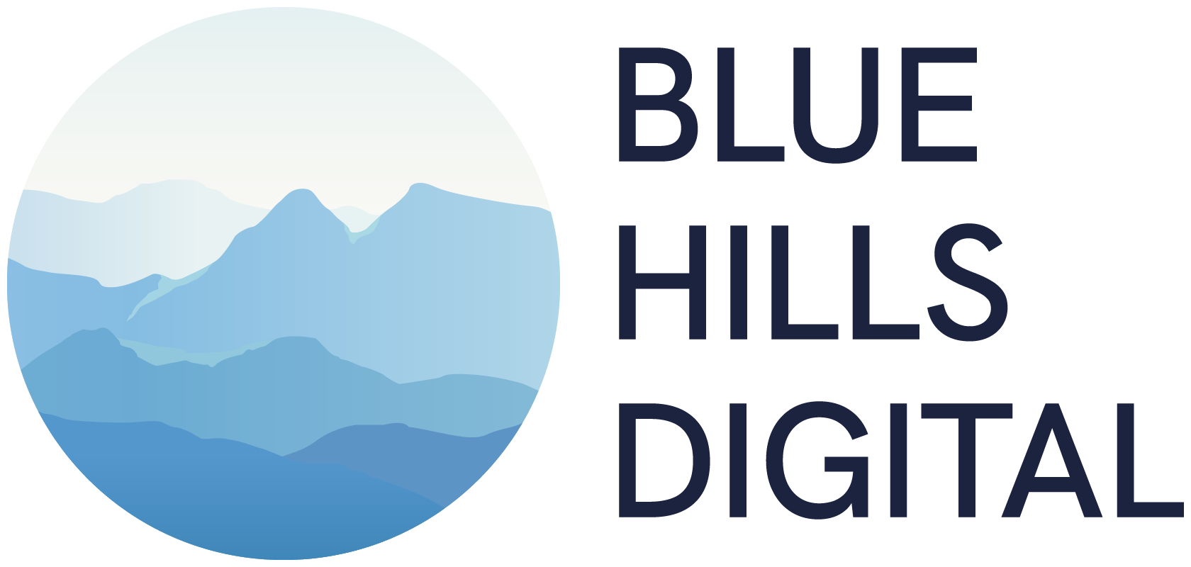 Nonprofit Privacy Policy: What to Include on Your Organization's Website – Blue Hills Digital